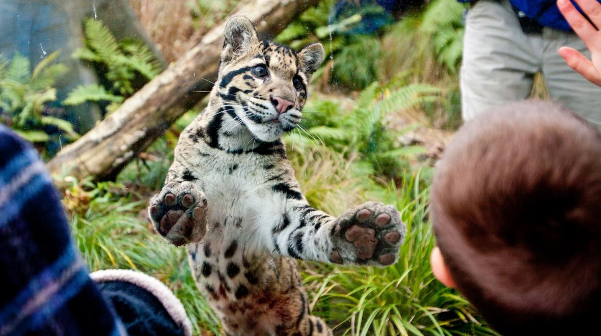 Point Defiance Zoo & Aquarium and Northwest Trek Set to Reopen | ParentMap